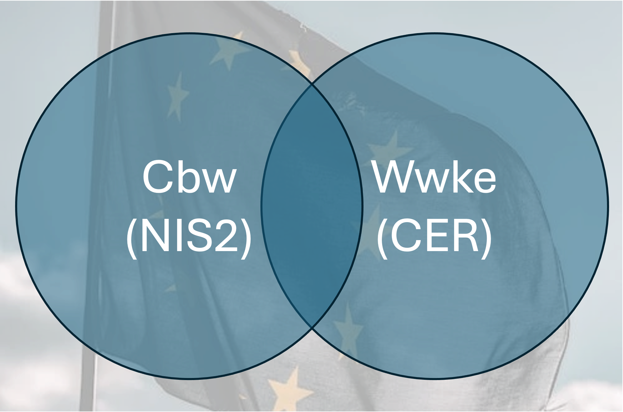 Cyberbeveiligingswet en Wet weerbaarheid kritieke entiteiten ...